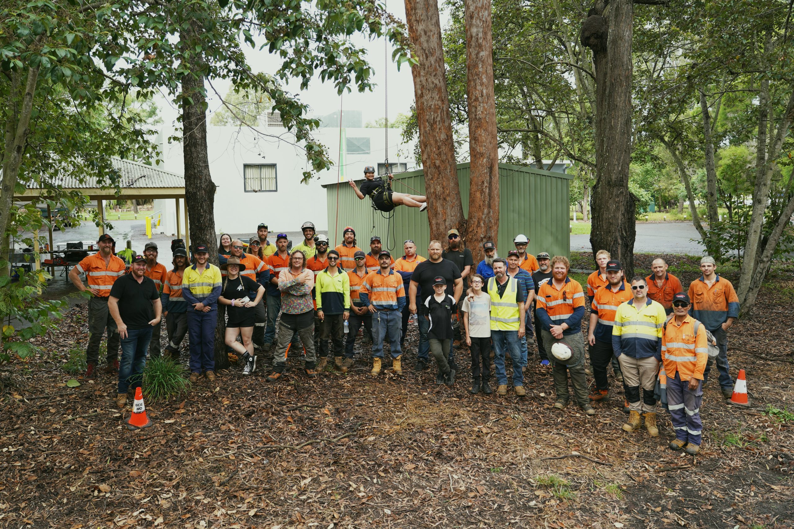 Who We Are - Treescape - About us